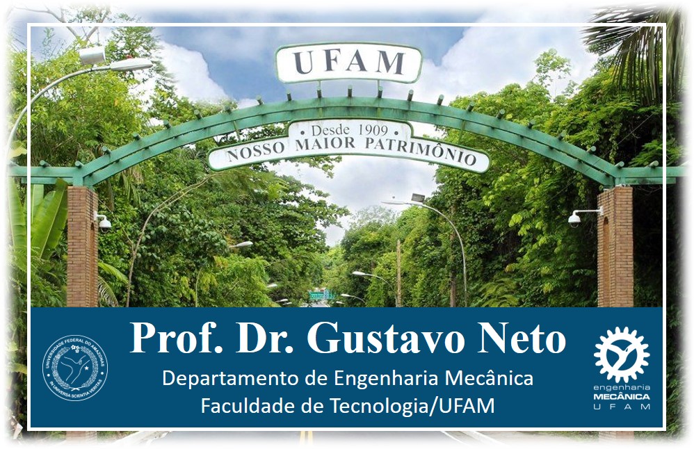 Prof. Gustavo Neto - Home Page